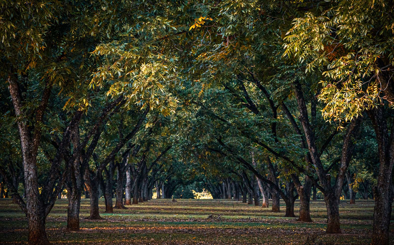 U-Pick Farms - Visit Valdosta